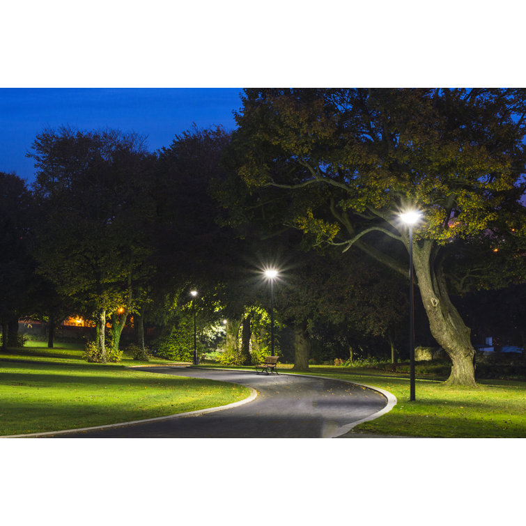 17 Stories Peaceful Park by Min Jing - Wrapped Canvas Photograph | Wayfair.co.uk